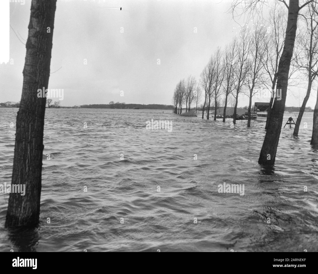Trees in flood water Black and White Stock Photos & Images - Alamy