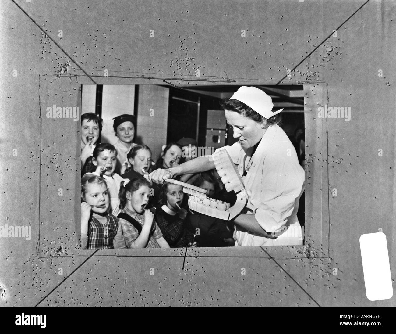Toothbrush with large teeth, Vienna Annotation: Repronegative Date ...