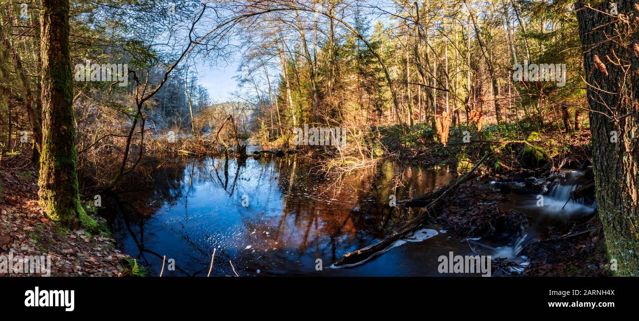 Swampy Pond High Resolution Stock Photography and Images - Alamy