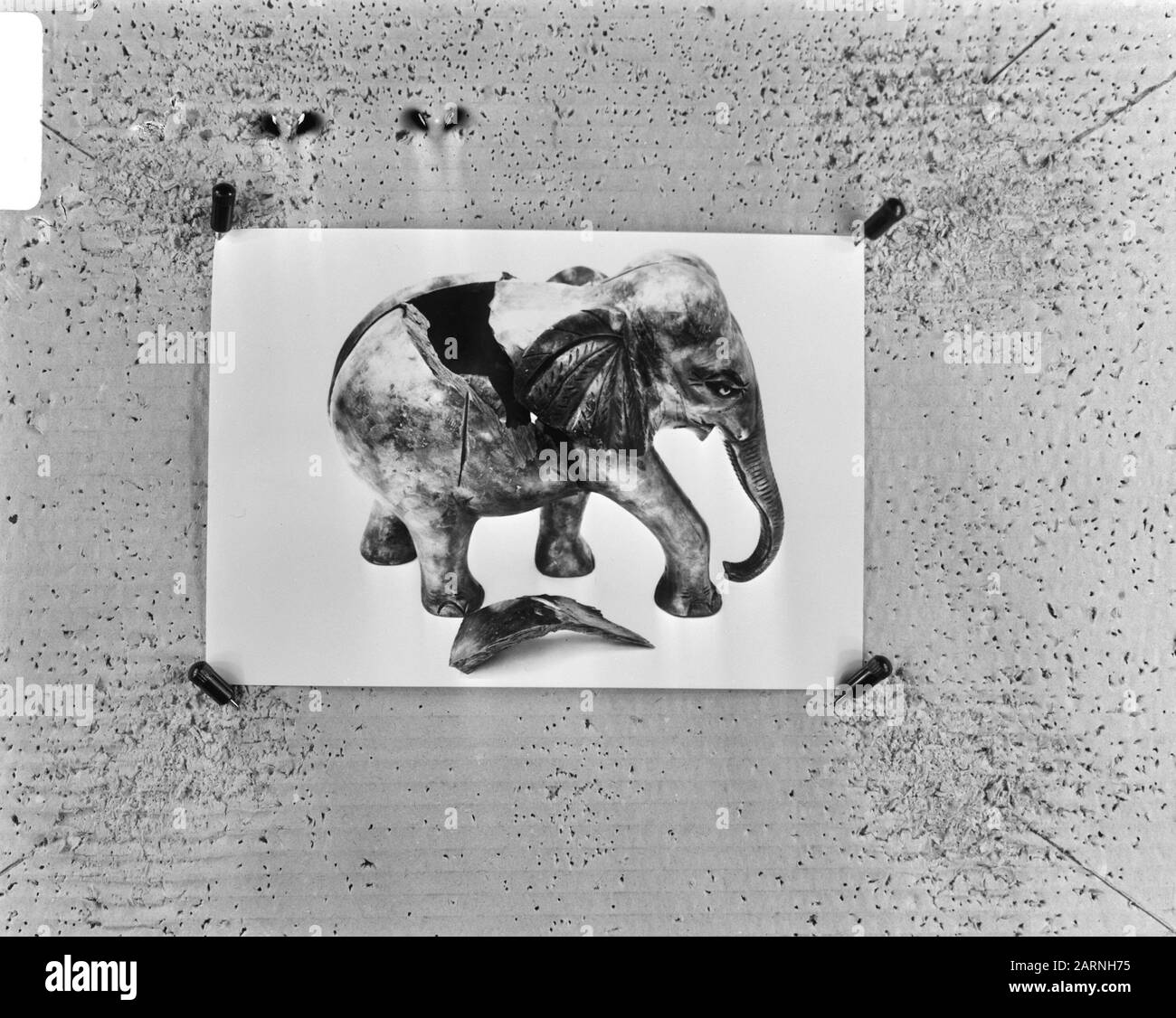 Anti drug operation Black and White Stock Photos & Images - Alamy