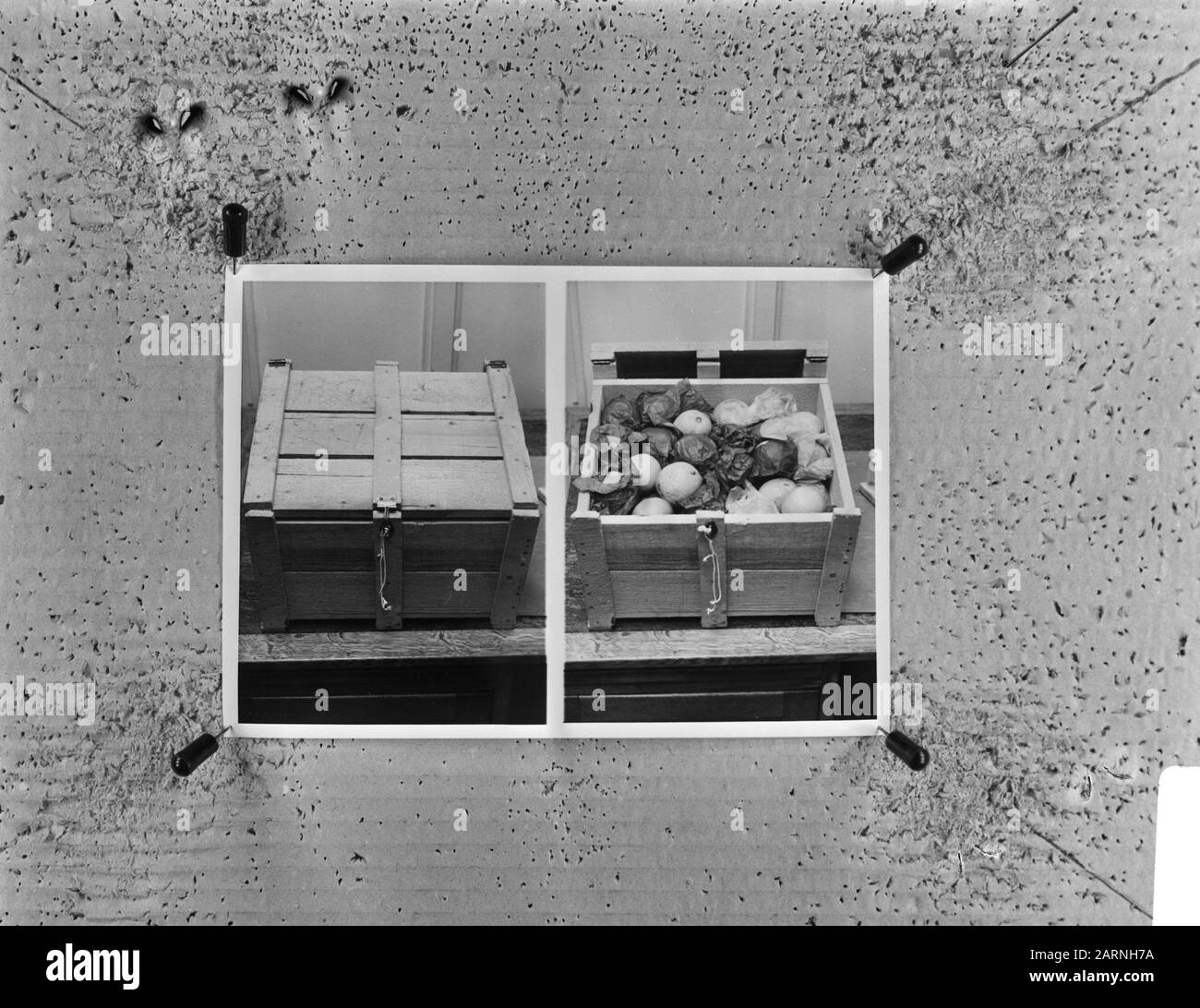 Inspector elbersen hi-res stock photography and images - Alamy