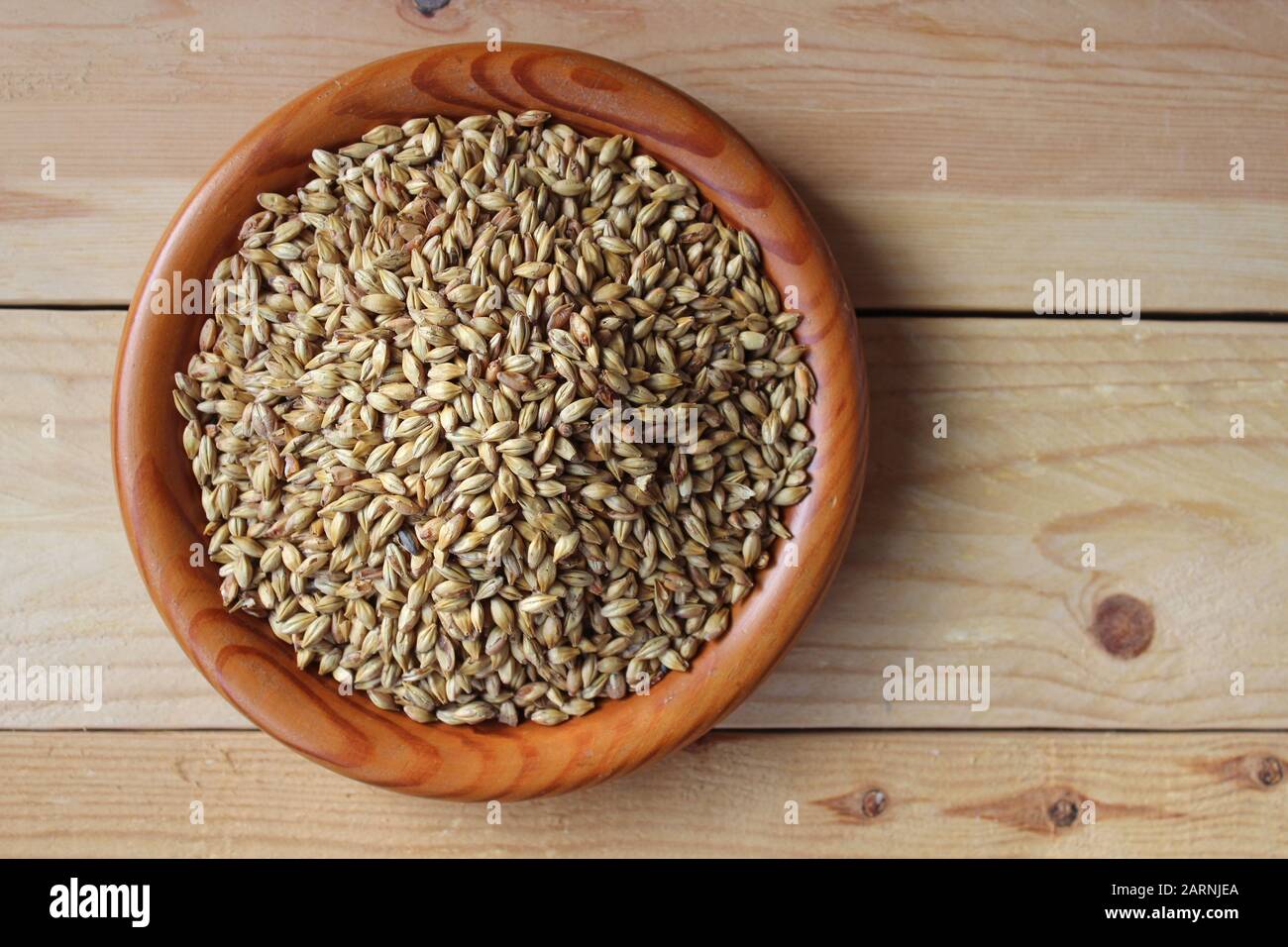 Malted Barley Grain