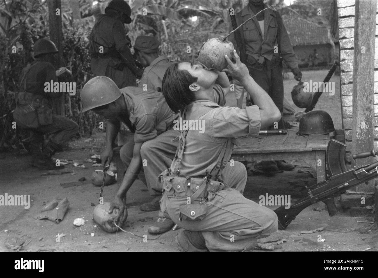 Fresh java Black and White Stock Photos & Images - Alamy