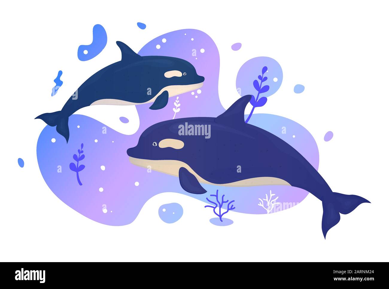 Two dolphins in the sea. Ocean fish. Underwater marine wild life ...