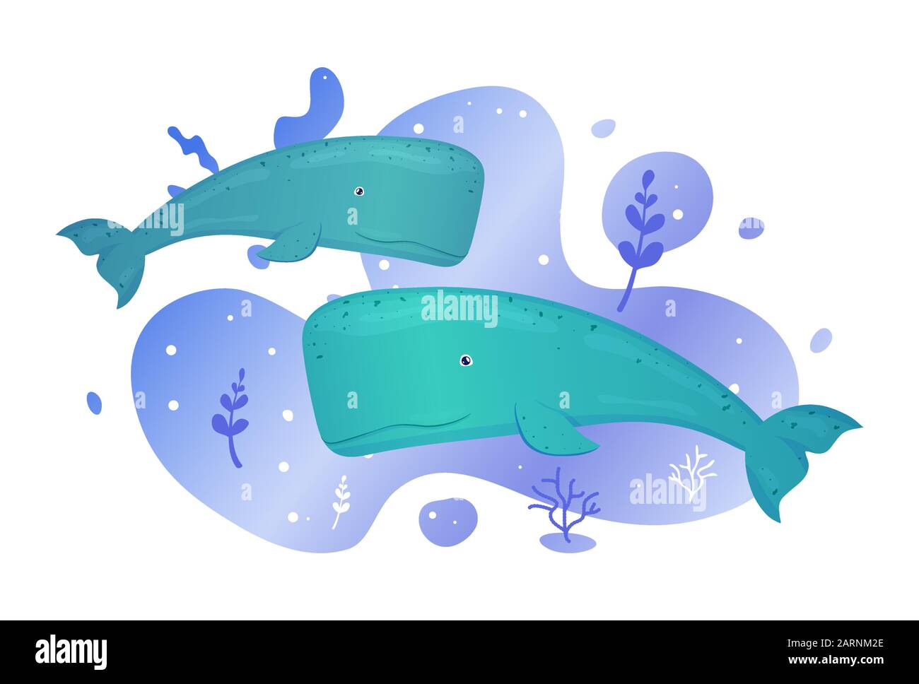 Two whales in the sea. Ocean fish. Underwater marine wild life. Vector ...