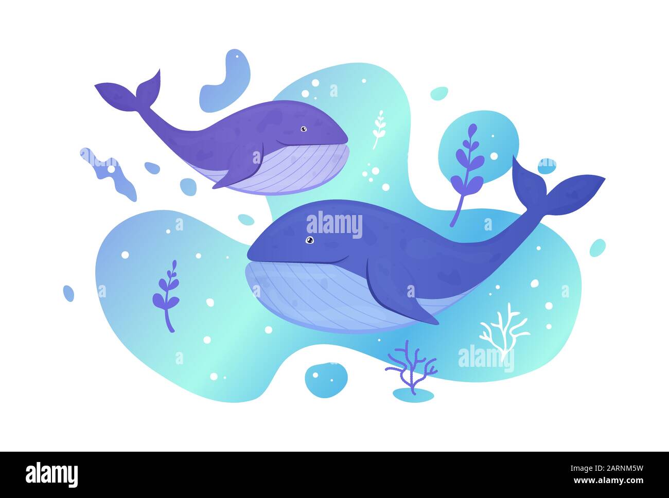 Two whales in the sea. Ocean fish. Underwater marine wild life. Vector ...