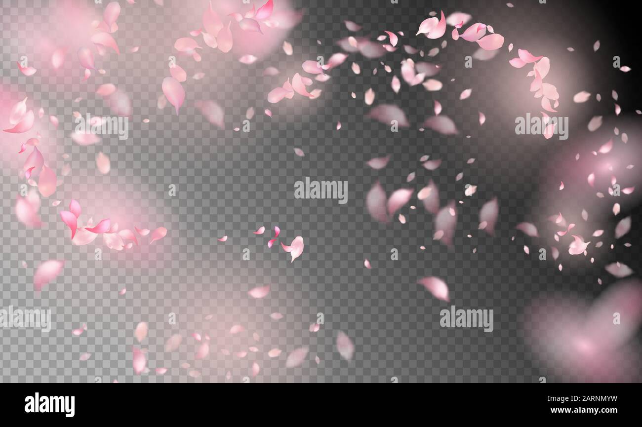 Pink cherry plum Stock Vector Images - Alamy