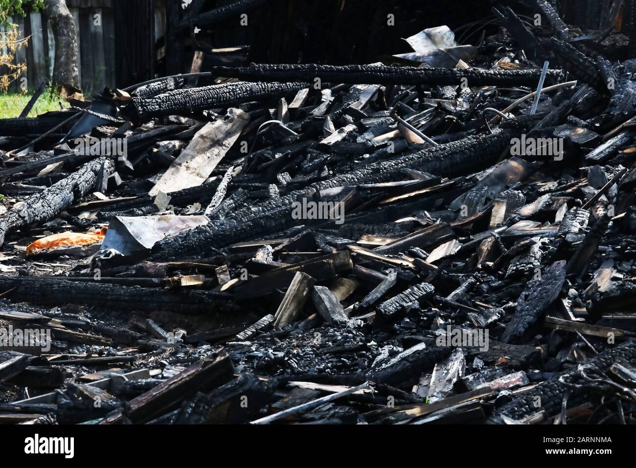 Inside a hollow log hi-res stock photography and images - Alamy