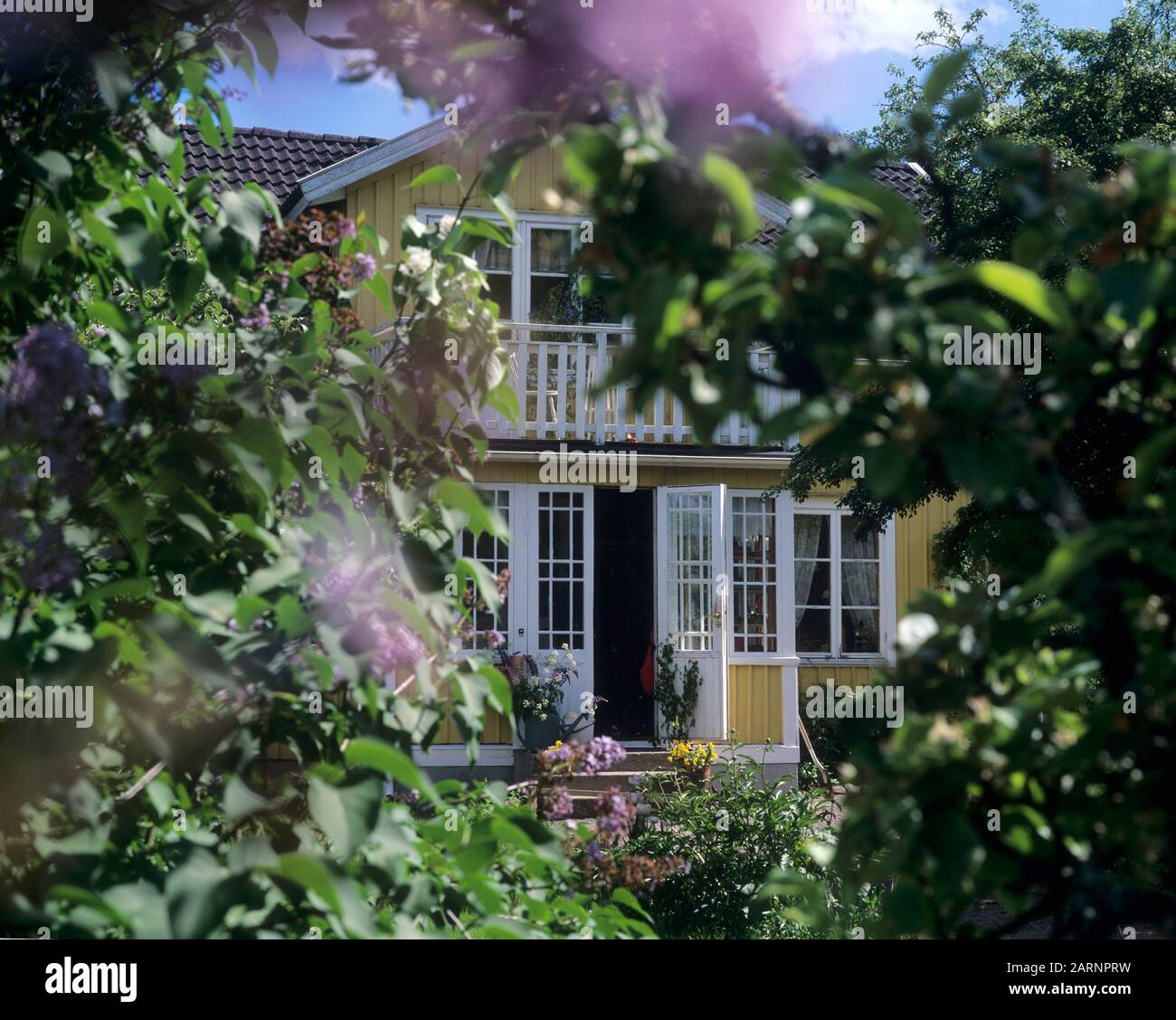 Yellow villa behind lilac bushes Stock Photo - Alamy