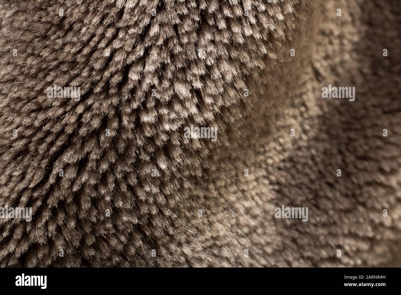 White fur polar bear texture hi-res stock photography and images - Alamy