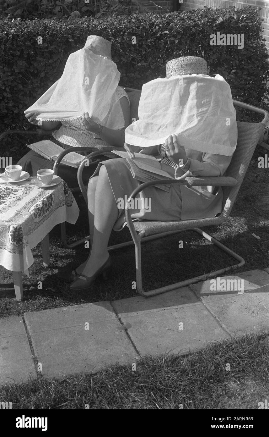 Flying plague due to drought, warm Date: October 15, 1959 Keywords: Fly ...