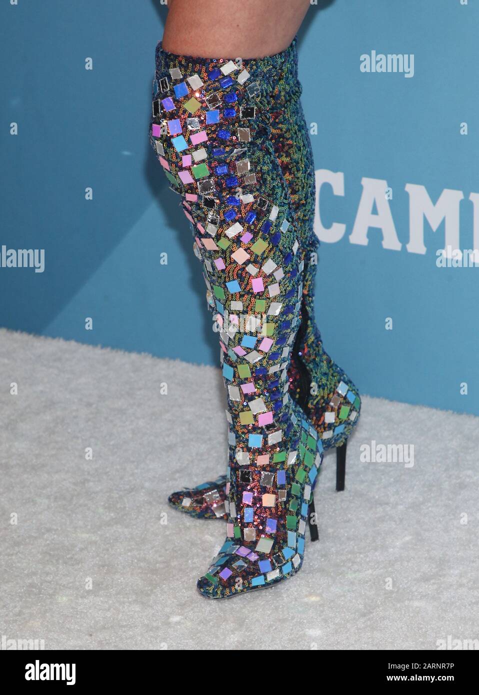 Beverly Hills, Ca. 28th Jan, 2020. Ami Goodheart, at the 22nd Costume ...