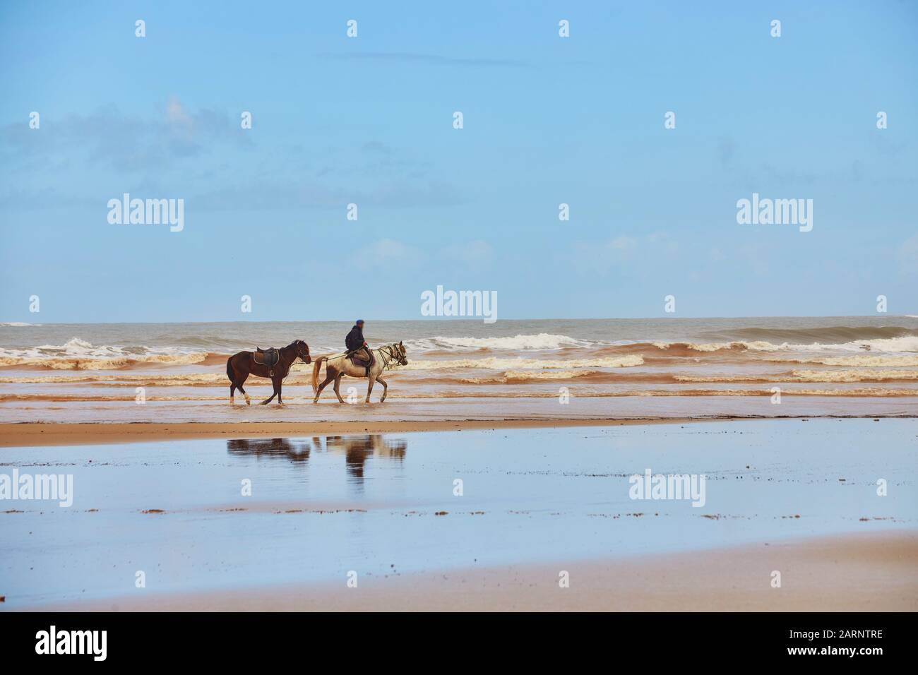 Epic horse riding hi-res stock photography and images - Alamy