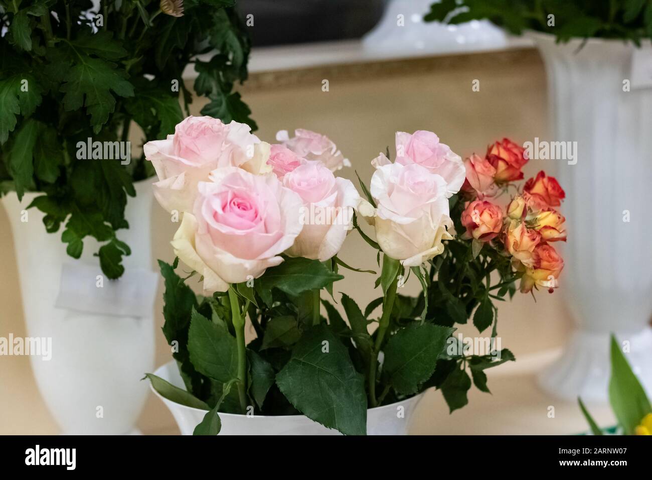 Up close roses hi-res stock photography and images - Alamy