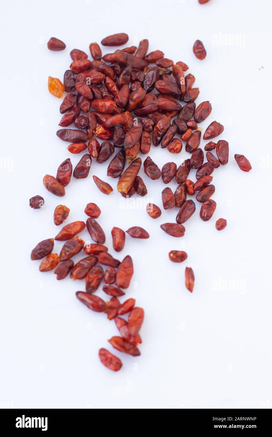 Dried small red piquin chiles on white background Stock Photo - Alamy