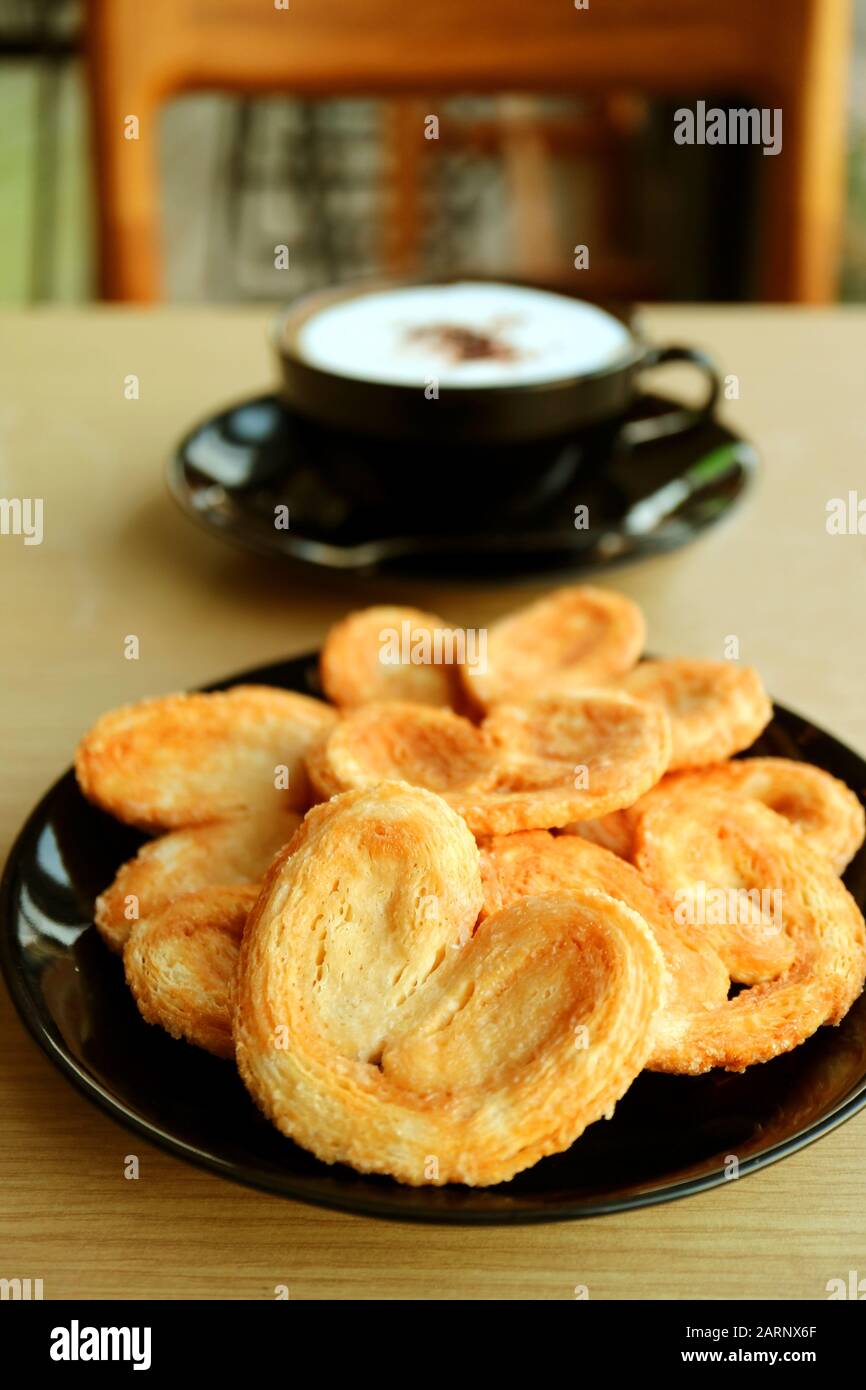 Palmier tree hi-res stock photography and images - Alamy