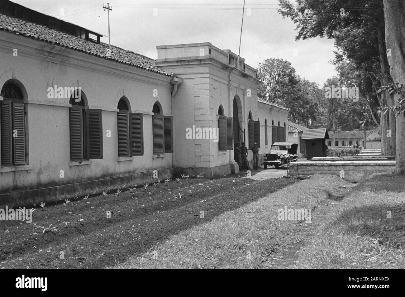 Fresh java Black and White Stock Photos & Images - Alamy