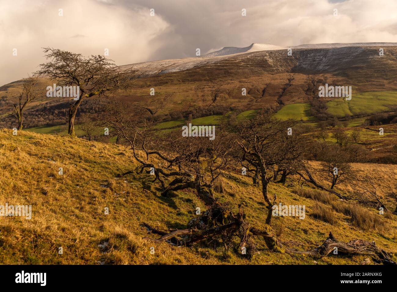 Bannau Brycheiniog, previously known as Brecon Beacons, National Park ...