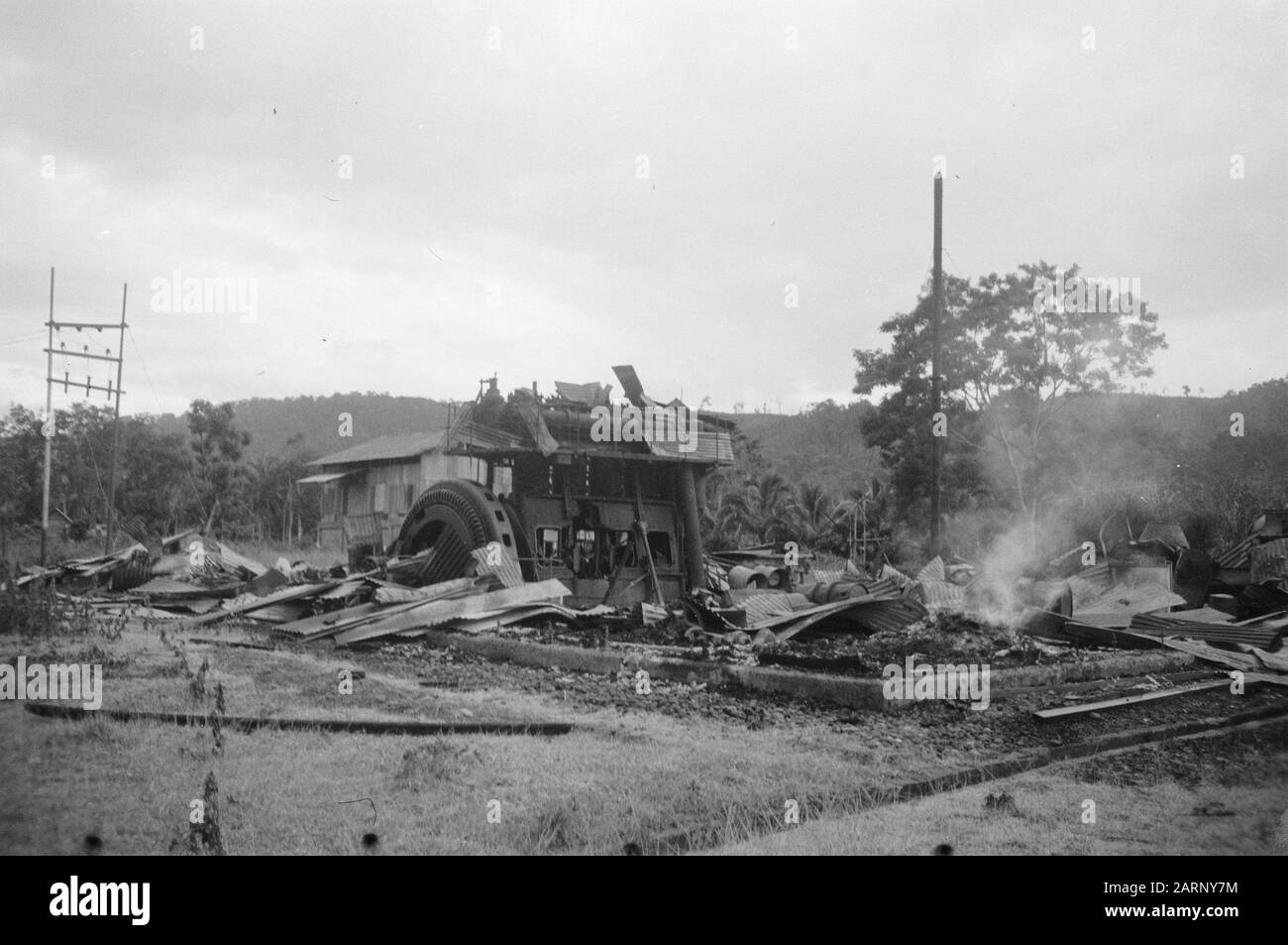 Dutch bantam hi-res stock photography and images - Alamy