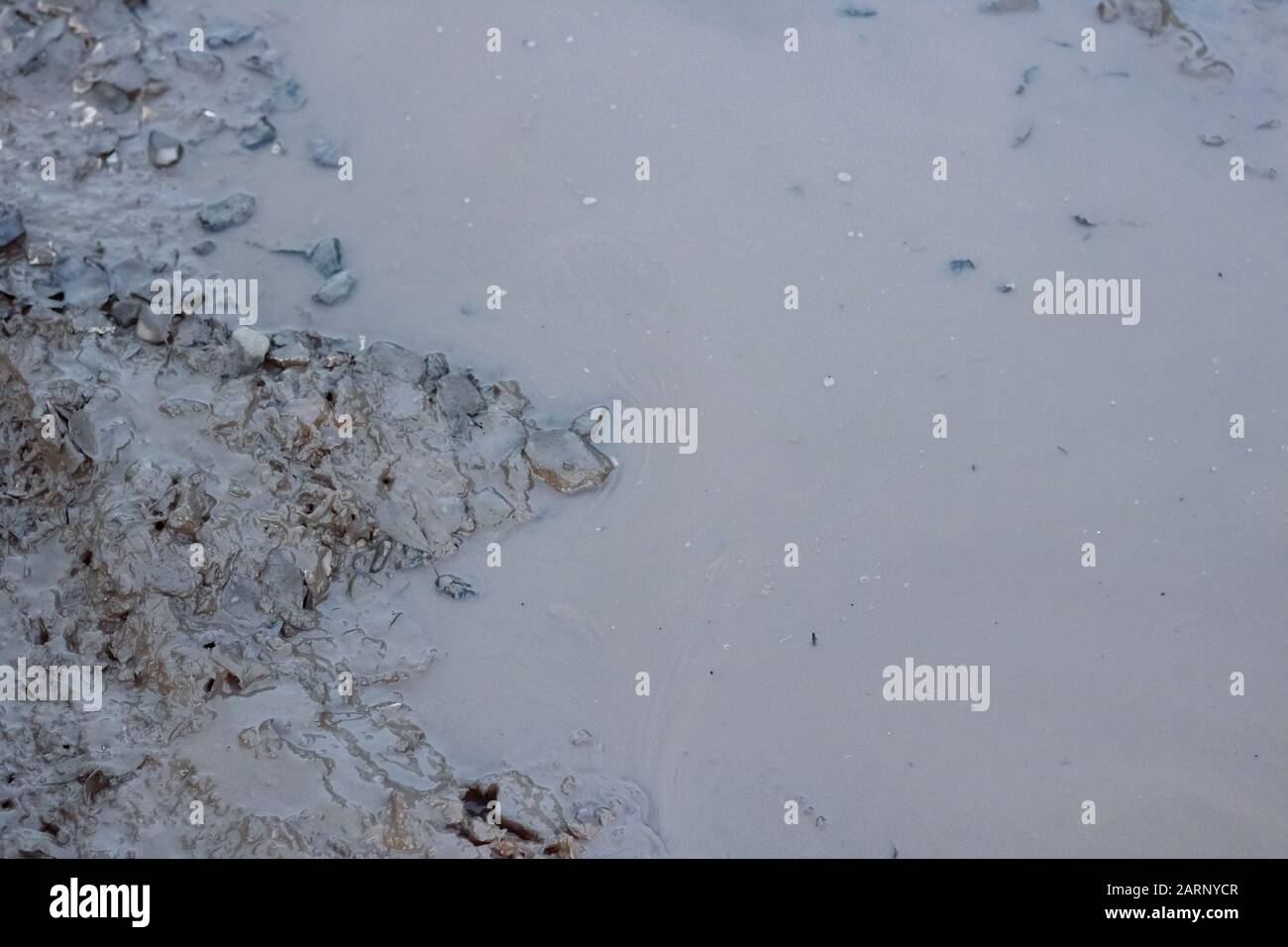Puddle with dirty yellow water and stones Stock Photo - Alamy