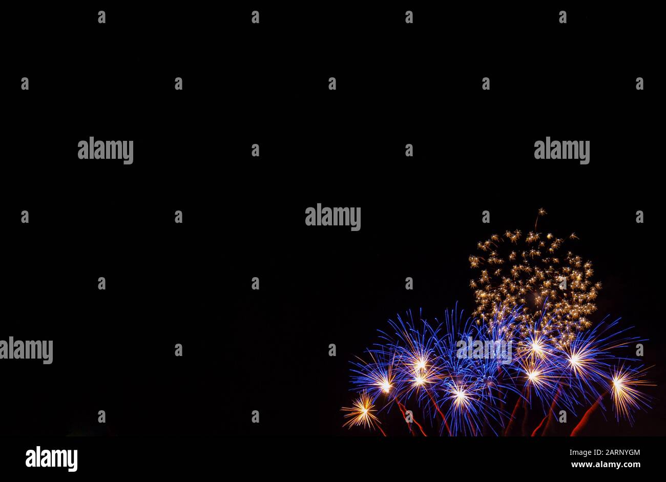 Blue starburst fireworks with white centers and small gold bursts ...