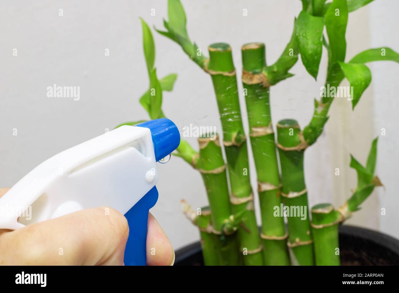 Atomizer gardening hi-res stock photography and images - Alamy