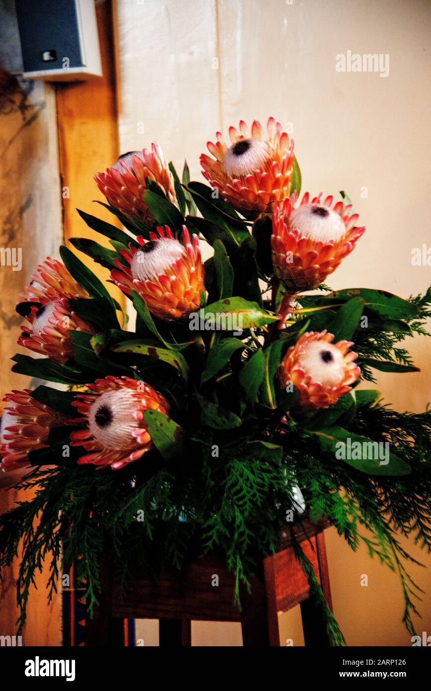 Madeira is called the island of Eternal Spring and is covered by ...