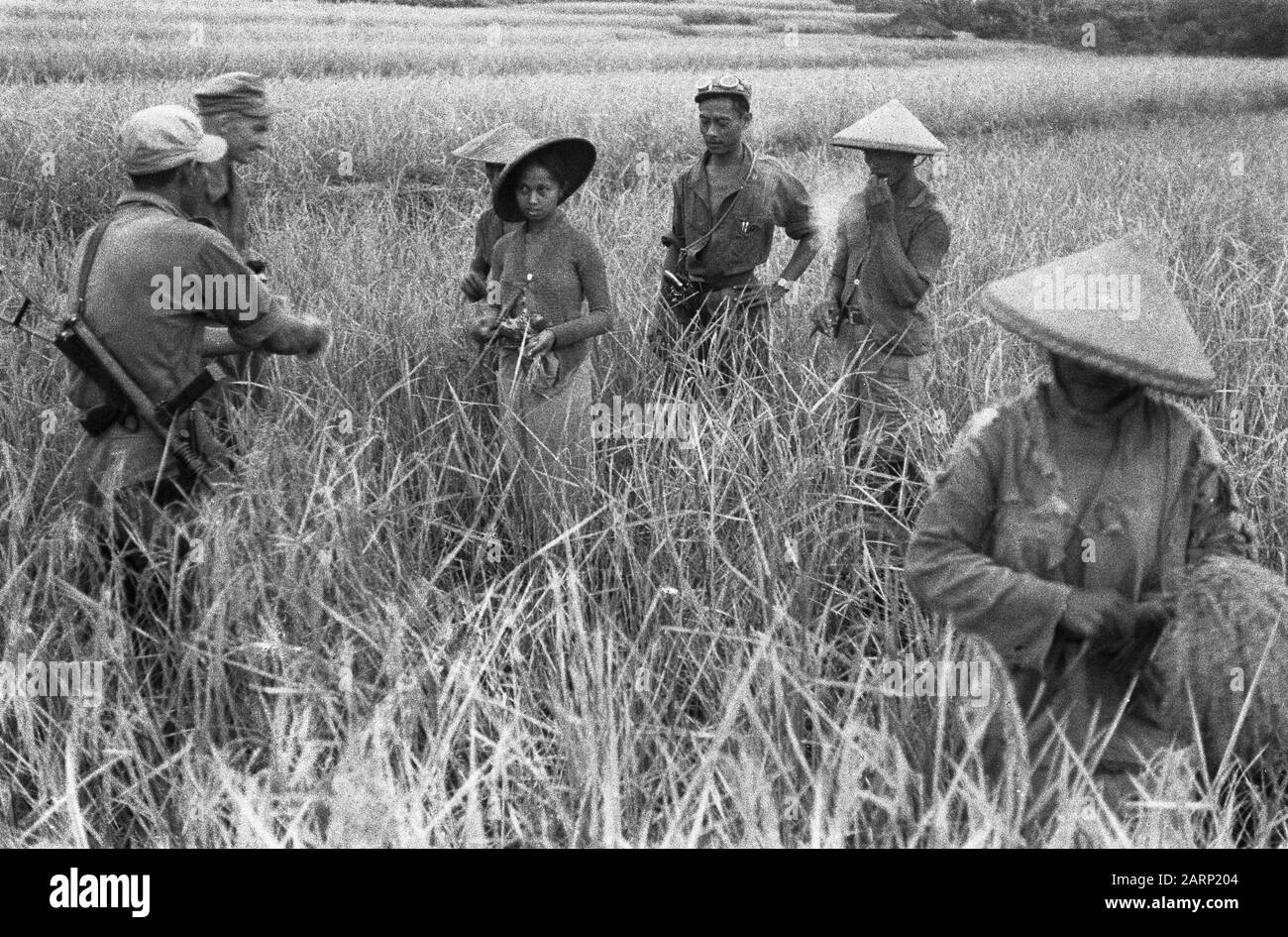 Retrieve tanks hi-res stock photography and images - Alamy