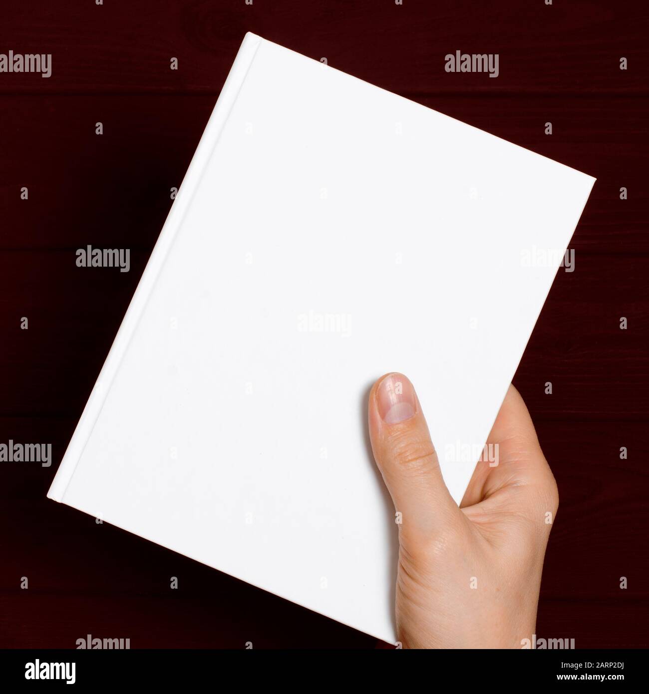Men's hands holding closed book with blank cover on light background ...