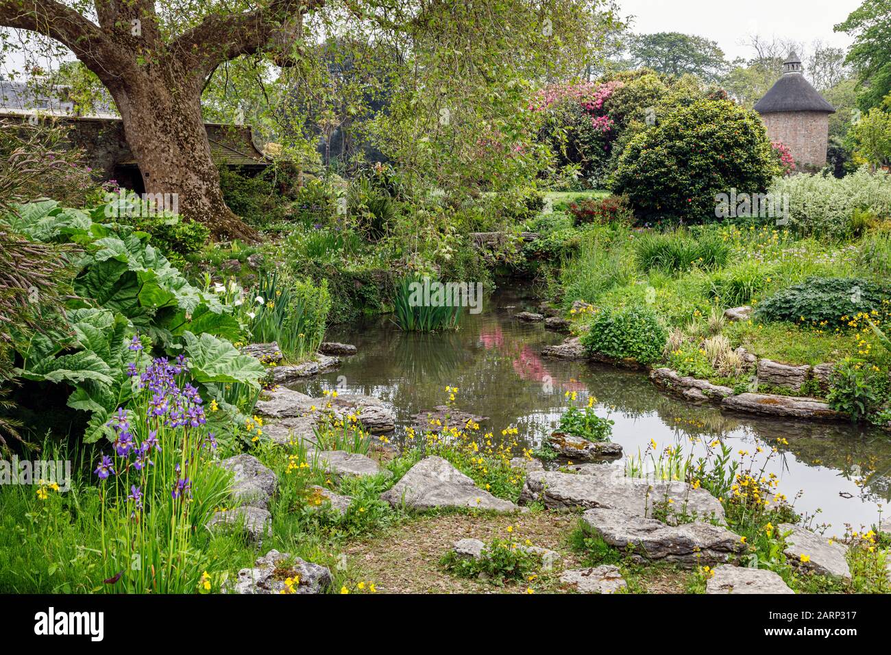 The Botanic Garden at Samarès Manor, Jersey, Channel Islands Stock ...