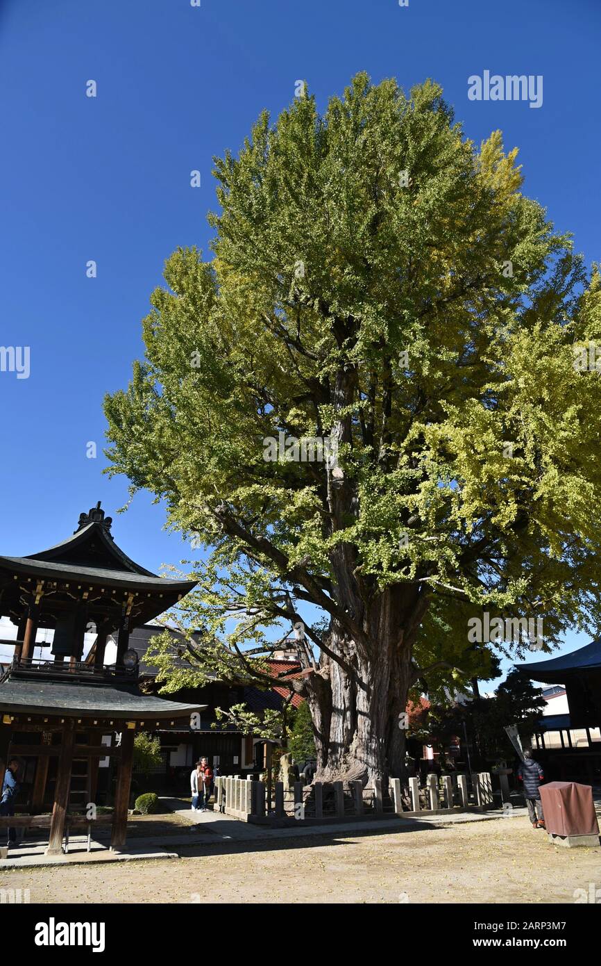 Takayama city hi-res stock photography and images - Alamy