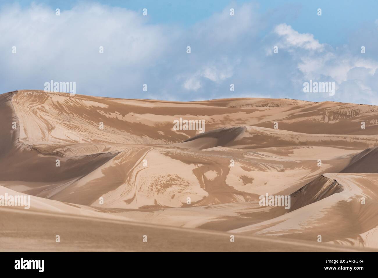 the formation of wet sand dunes in dasht e lut or sahara desert, after ...