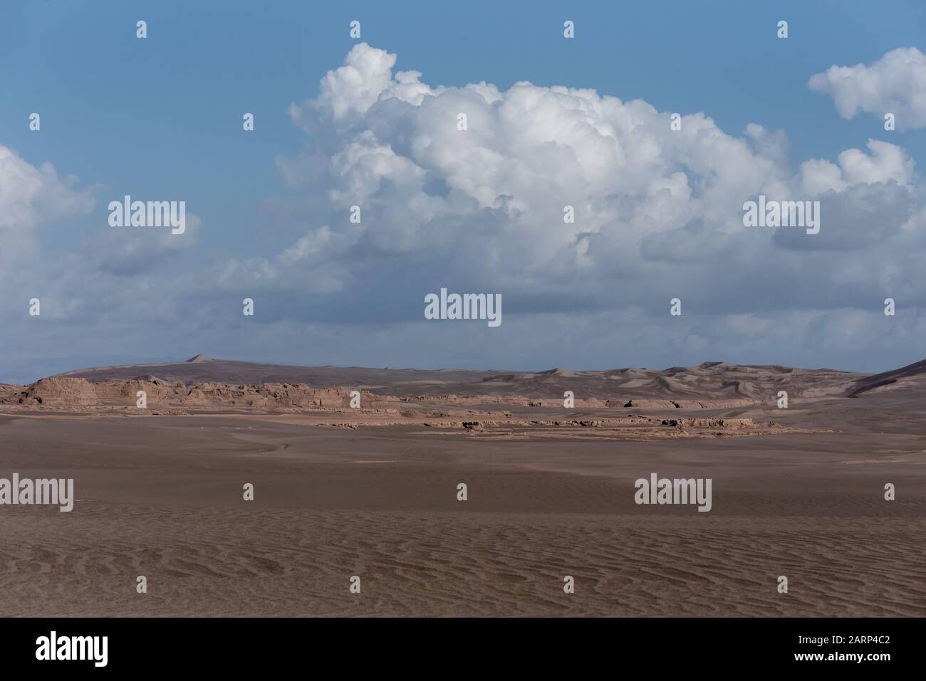 Rain in sahara desert hi-res stock photography and images - Alamy
