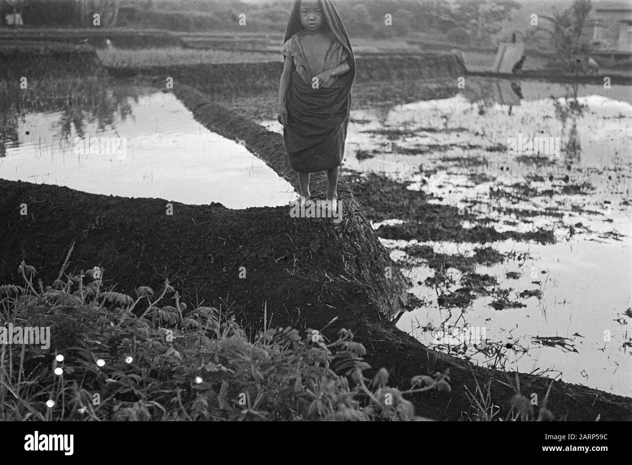 Indonesian child stands on dike between rice fields Annotation: DJK ...