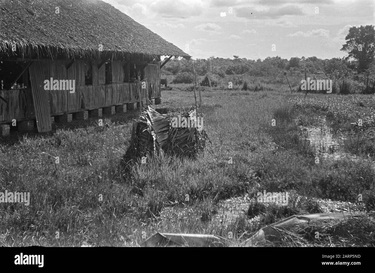 Building largely made of bamboo, palm and atap leaves Date: 1947/01/01 ...