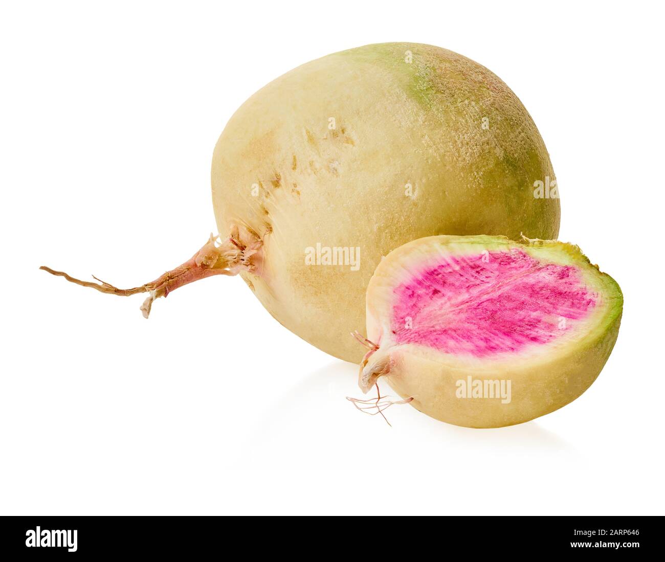 fresh radish vegetable with clipping path on a white isolated ...