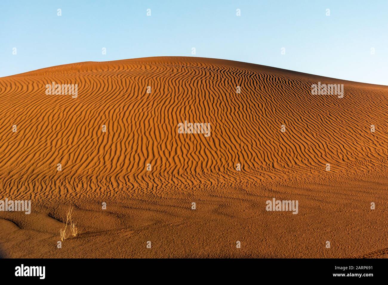 the formation of waved sand textures or pattern on a sand dune in dasht ...