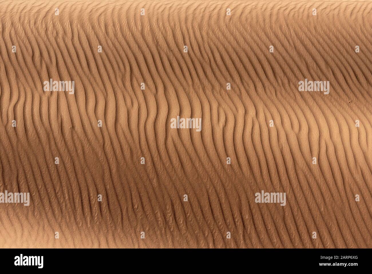 the formation of waved sand textures or pattern on a sand dune in dasht ...