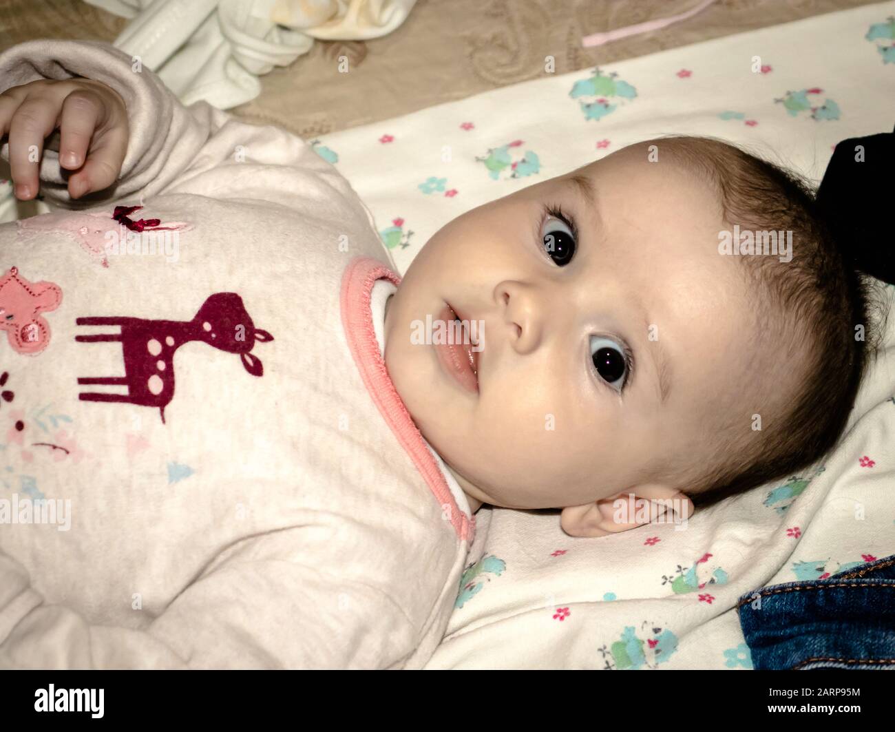 Cute lassie hi-res stock photography and images - Alamy