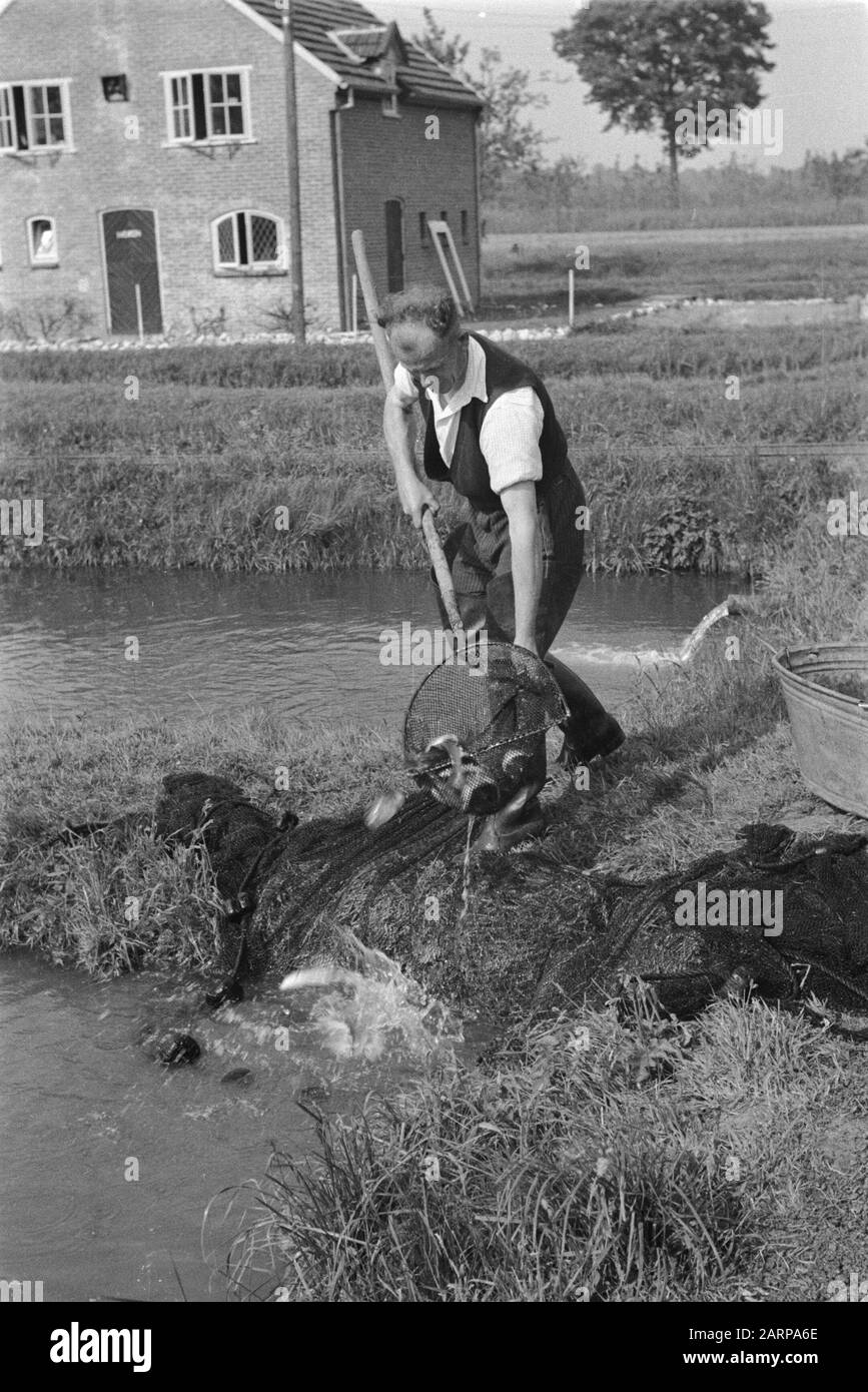 Trout ponds Black and White Stock Photos & Images - Alamy