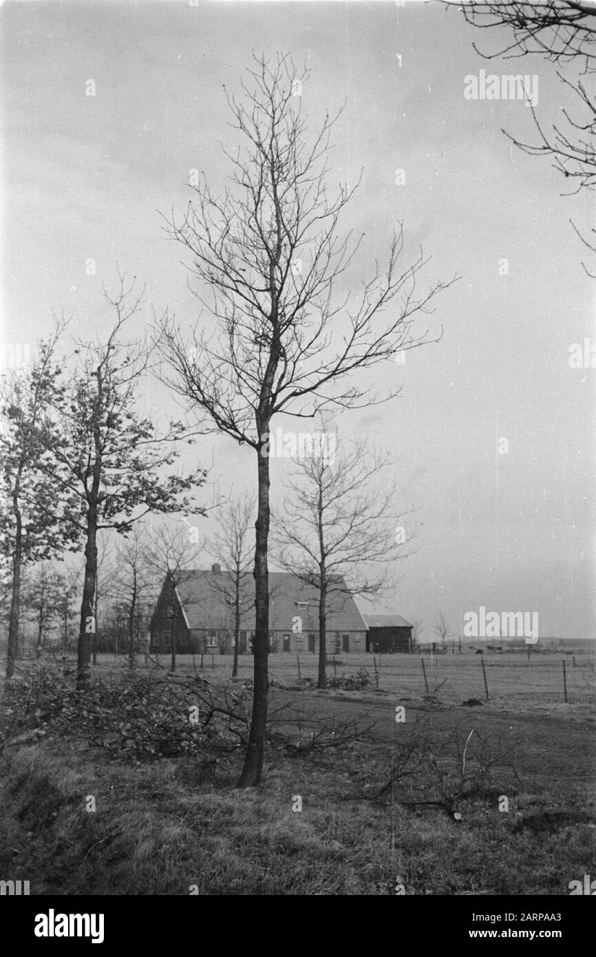 Shrub pruning Black and White Stock Photos & Images - Alamy