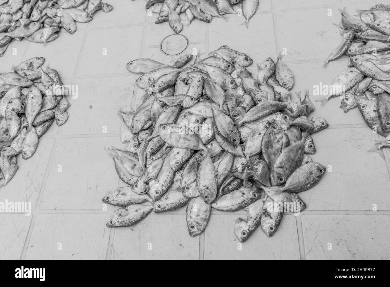 Fish market on the beach hi-res stock photography and images - Alamy