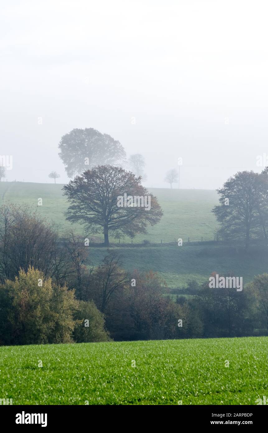 Woodlands in the countryside during autumn in Germany, Western Europe ...