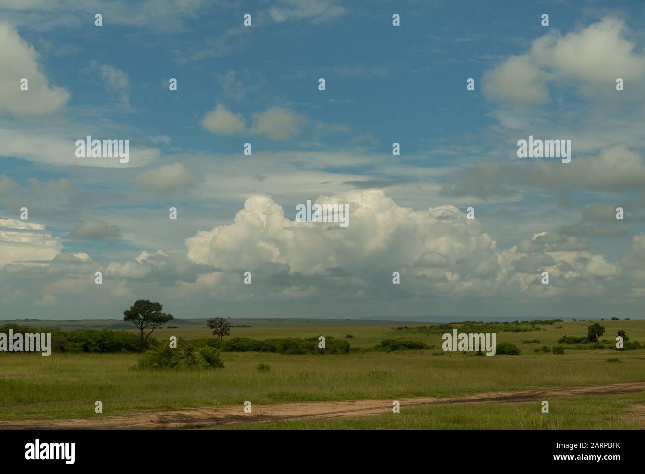 landscape of the Maasai Mara Stock Photo - Alamy
