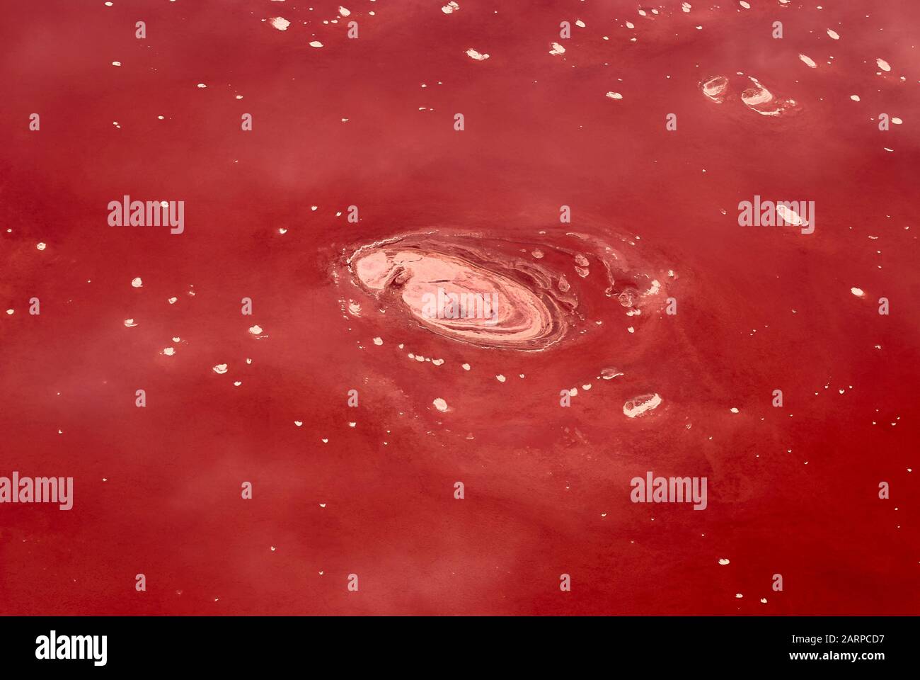 Photosynthesising pigments of the blue-green bacteria cyanobacteria ...