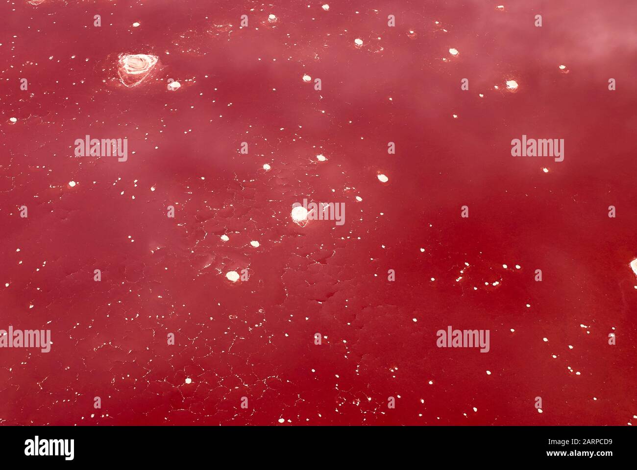 Photosynthesising pigments of the blue-green bacteria cyanobacteria ...