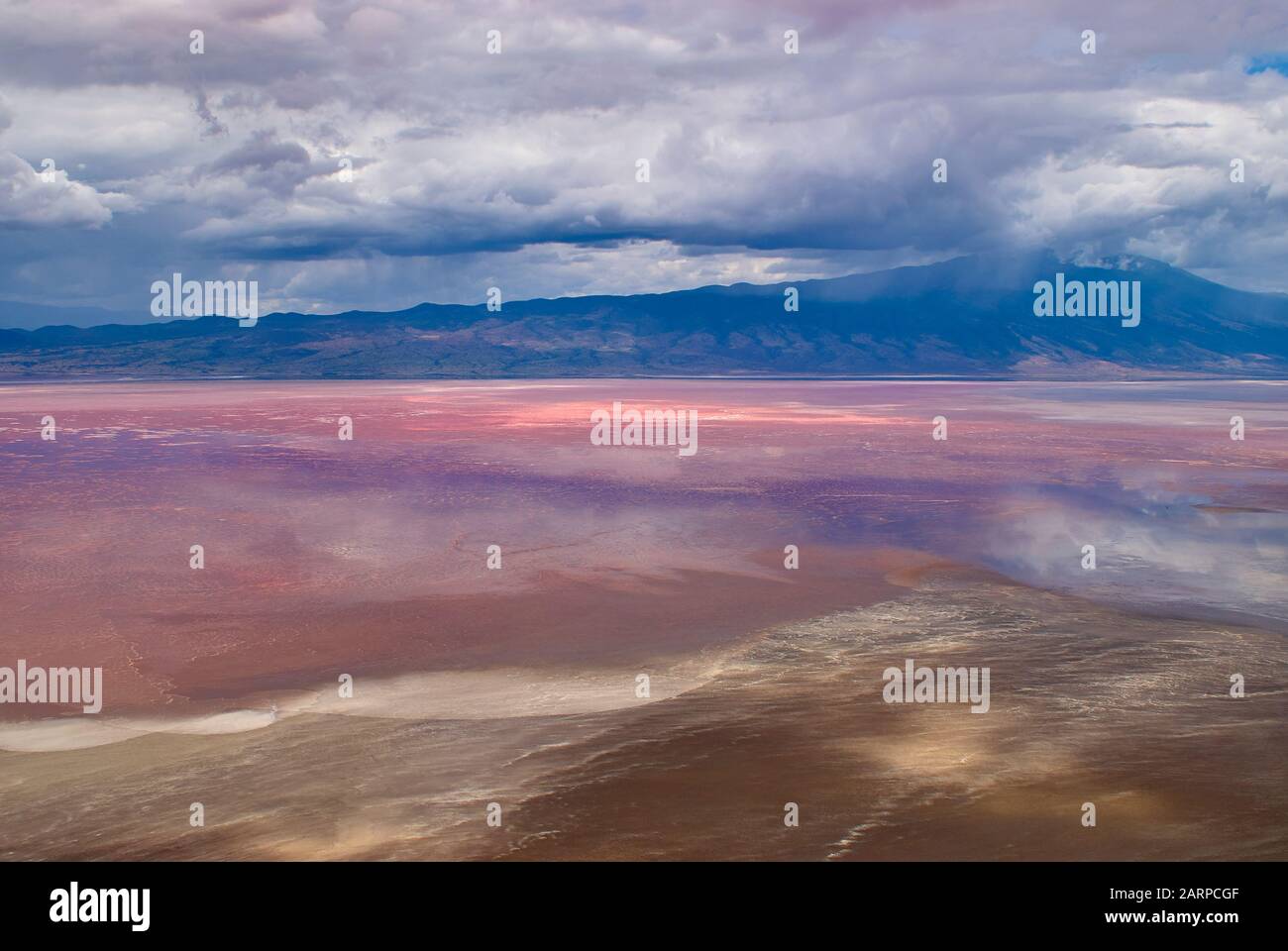 Photosynthesising pigments of the blue-green bacteria cyanobacteria ...