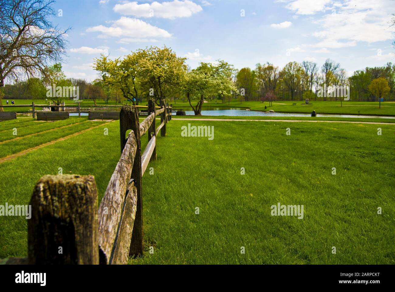 Grassy park hi-res stock photography and images - Alamy