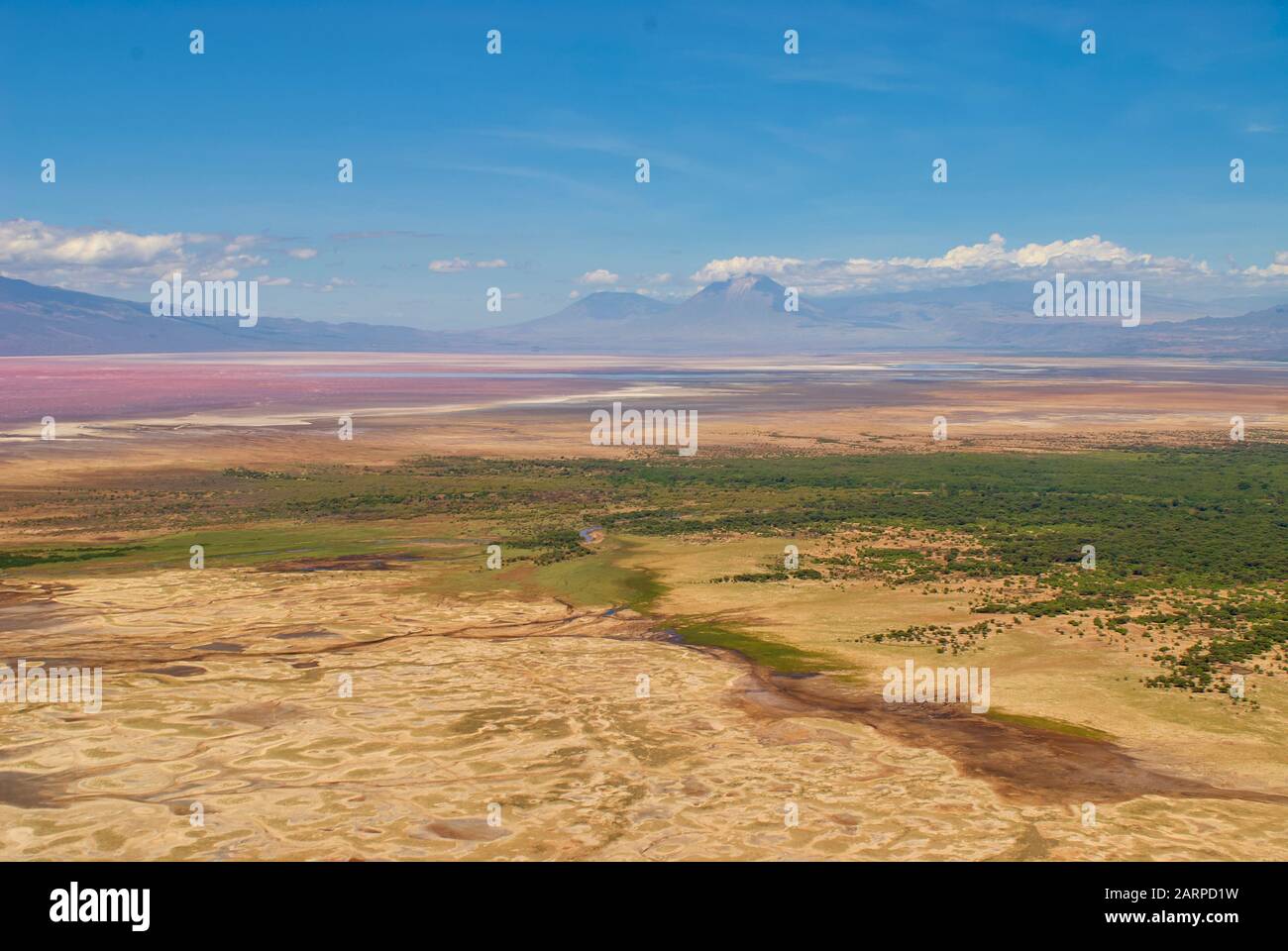 Photosynthesising pigments of the blue-green bacteria cyanobacteria ...