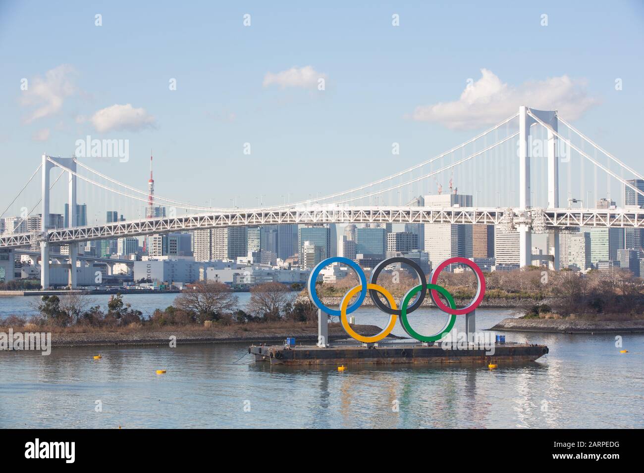 Tokyo, Japan. 29th Jan, 2020. View of Olympic Rings, the symbol of the ...